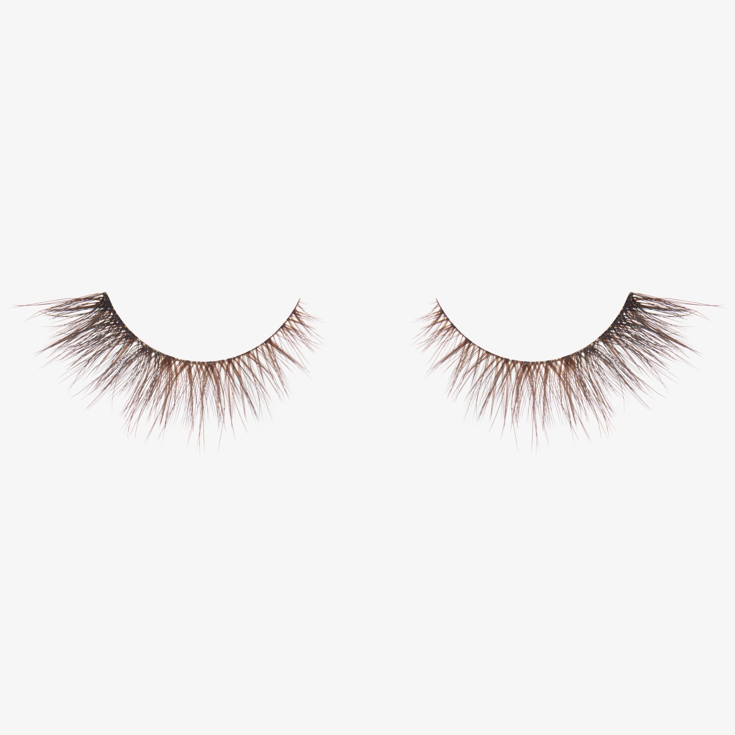 Ombre Medium To Dark Chocolate | Tatti Lashes