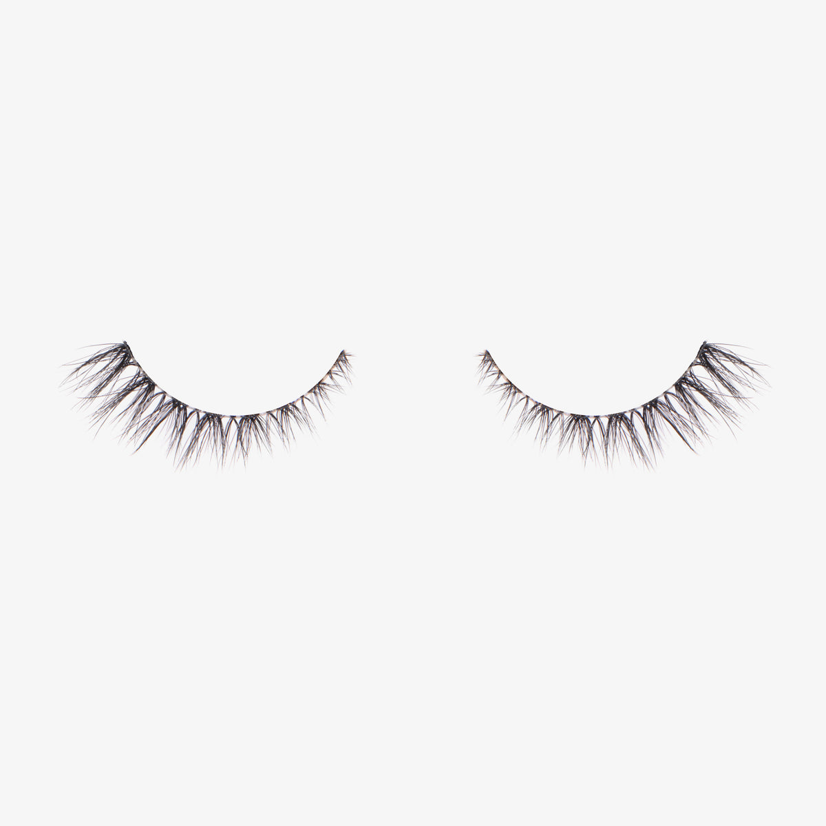 Lash Of Honour Strip Lash | Tatti Lashes