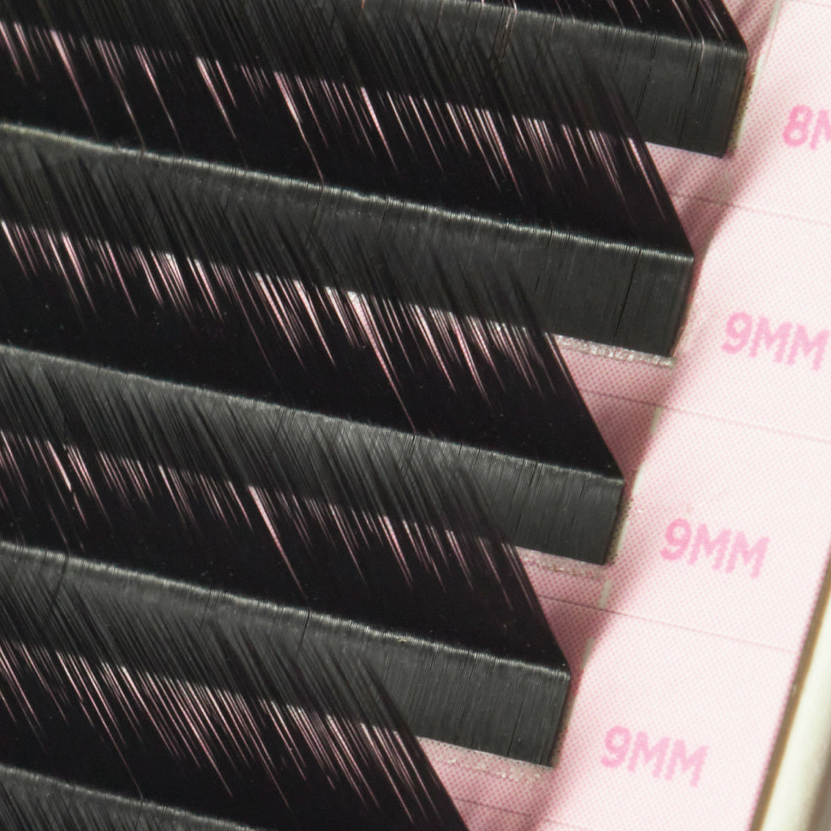 L+ Curl Russian Volume Lashes | Tatti Lashes®