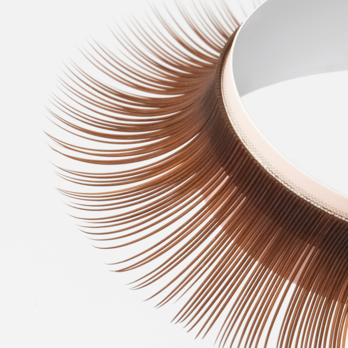 Lash Trays | Tatti Lashes®