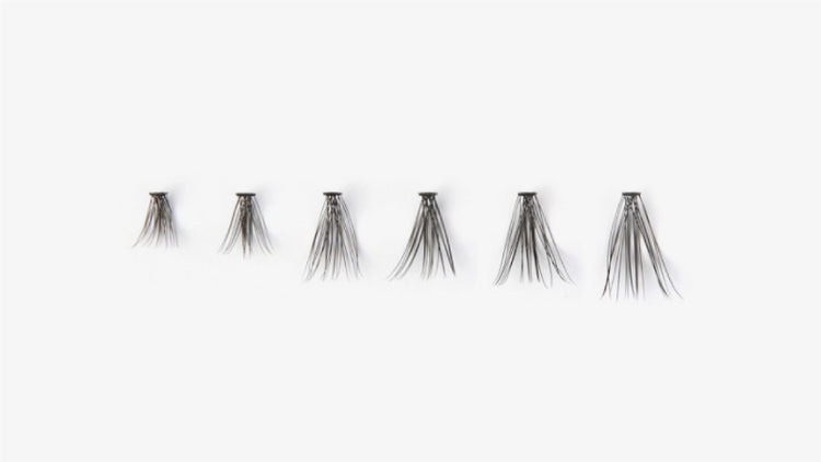 Original Tres Chic Cluster Lashes | Tatti Lashes