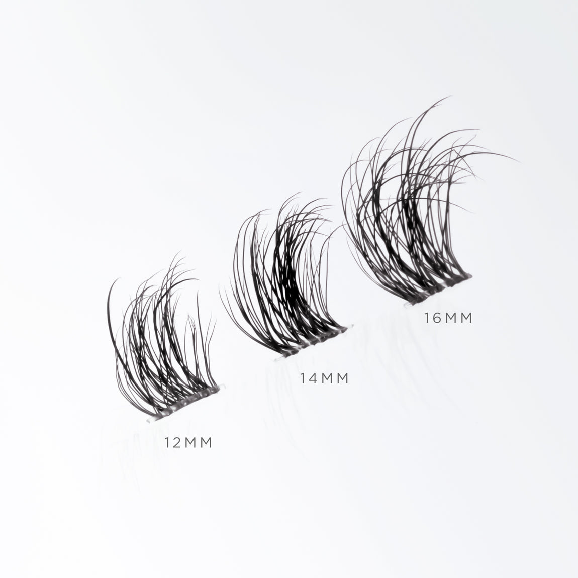 Wispy Volume Single Length | Tatti Lashes