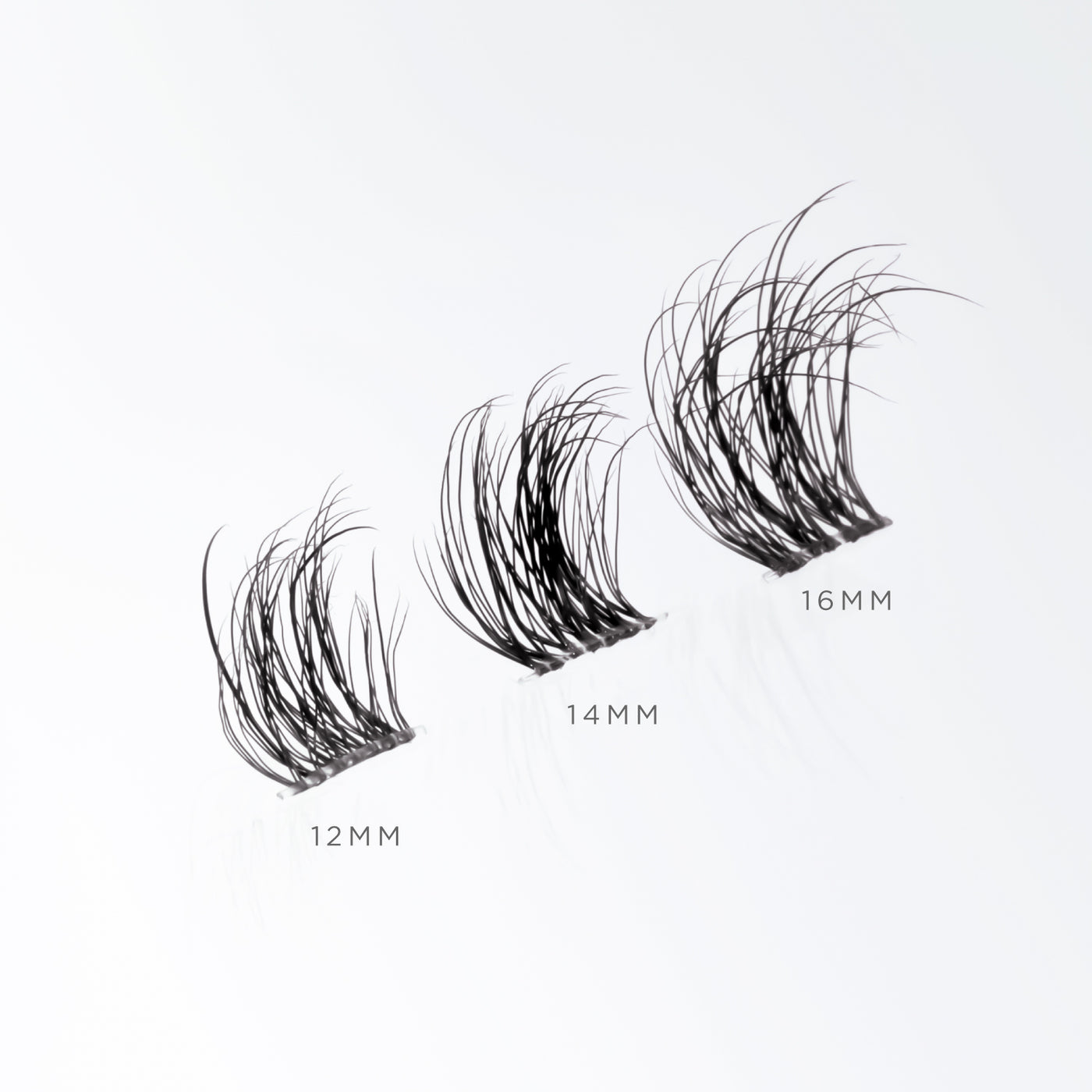 Wispy Volume Single Length | Tatti Lashes