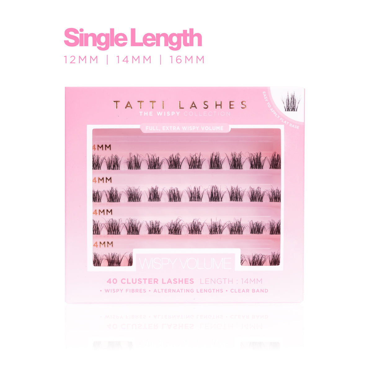 Wispy Volume Single Length | Tatti Lashes